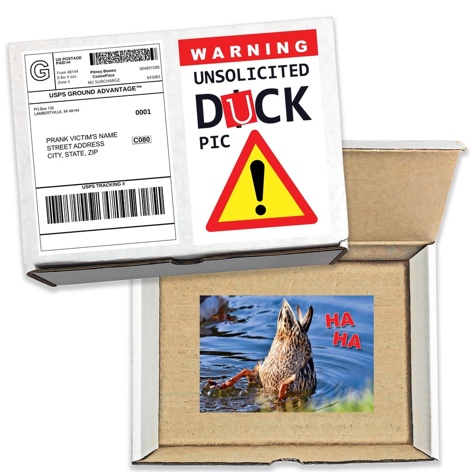Duck Pic Prank Mail Sent Anonymously to your Friends! | eBay