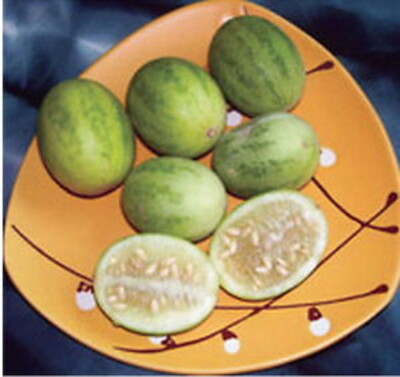 CUCUMBER KACHRA - CUCUMIS CALLOSUS (50 SEEDS) | eBay.de