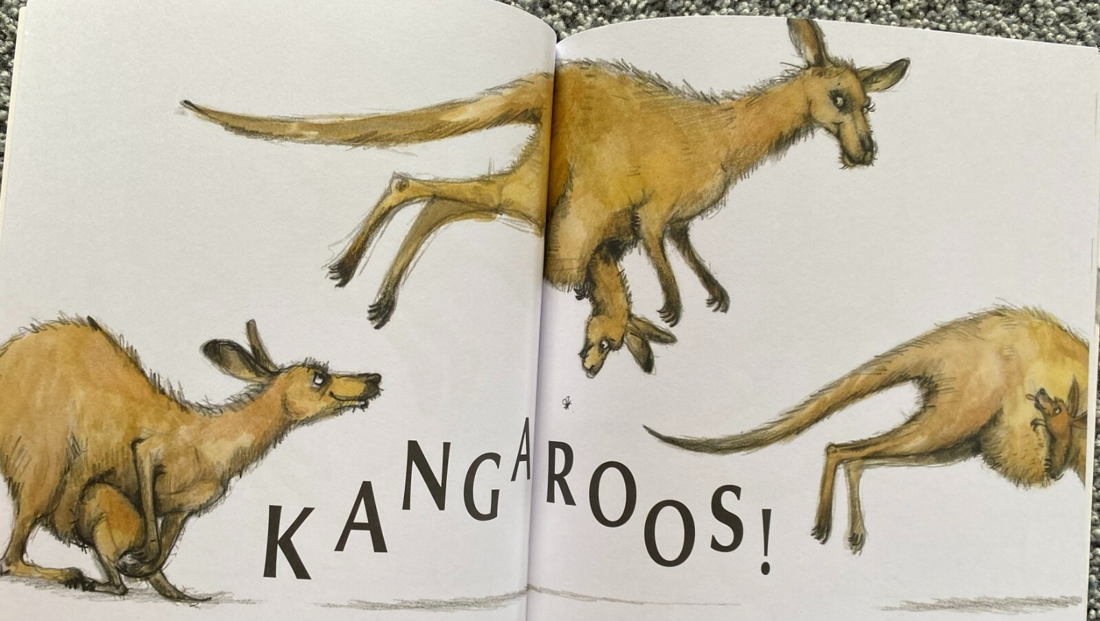 Monkey and Me by Emily Gravett (Paperback, 2018) for sale online | eBay