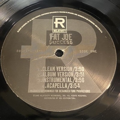 Fat Joe: Success 12" - Relativity | eBay