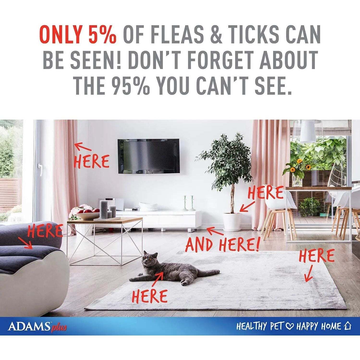 Adams Plus Pyrethrin Dip for Dogs Cats Puppies Kittens 4 oz. | eBay