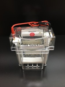 BioLabSourceCompany | eBay Stores