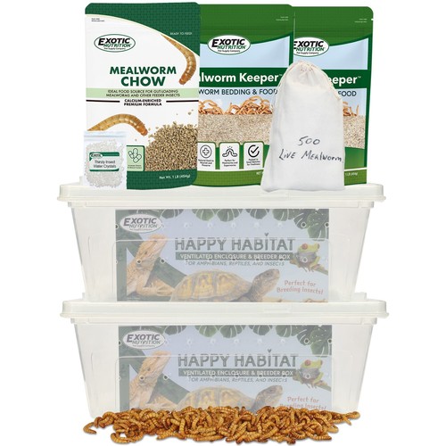 Mealworm Breeder Kit Expanded - Breeder Kit for Feeder Insects For ...