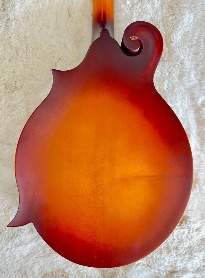 The Loar LM-590-MS Contemporary Acoustic All Solid F-Style Mandolin | eBay