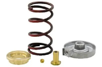 Johnson Controls VG7000 Valve Spring Kit 1/2 & 3/4 Replacement | eBay