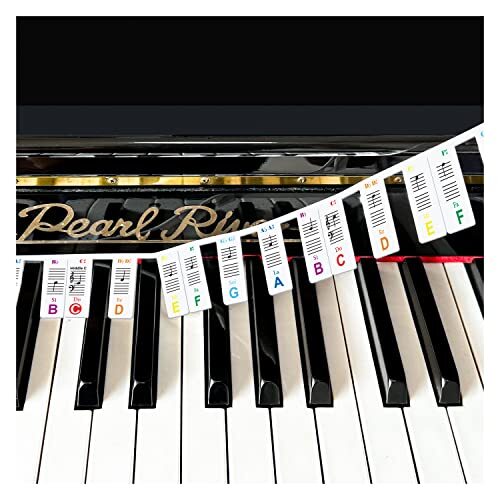 Colorful Removable Piano Keyboard Note Labels, Silicone Piano Notes ...