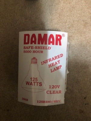 Damar Safe-Shield 5000 HOUR ,INFRARED HEAT LAMP ,120V CLEAR, 125 WATTS ...