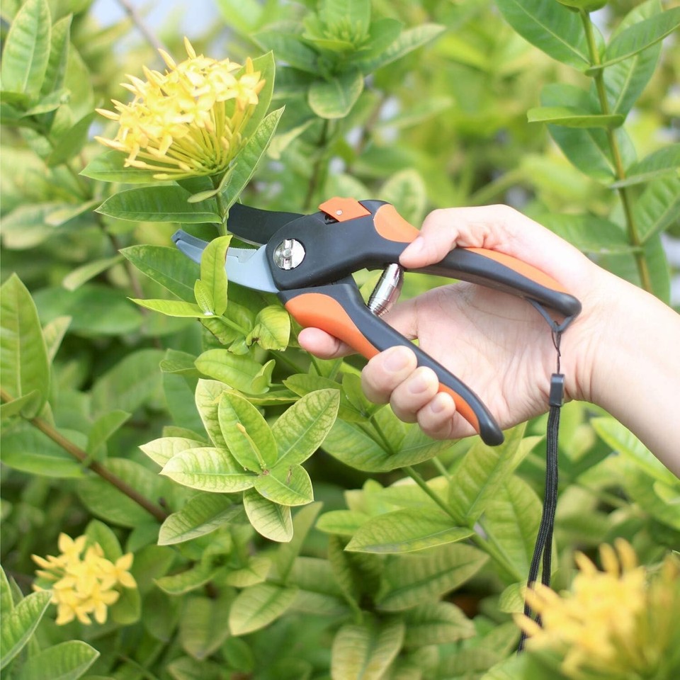 Apthrill 8" Professional Anvil Pruning & Garden Shears, Hand Pruners ...