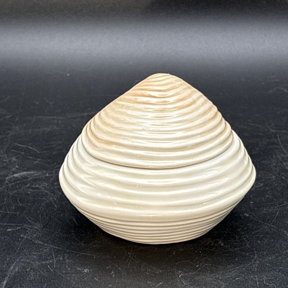 HTF Realistic Clam Sea Shell Figural Trinket Box Hand Painted Beach ...