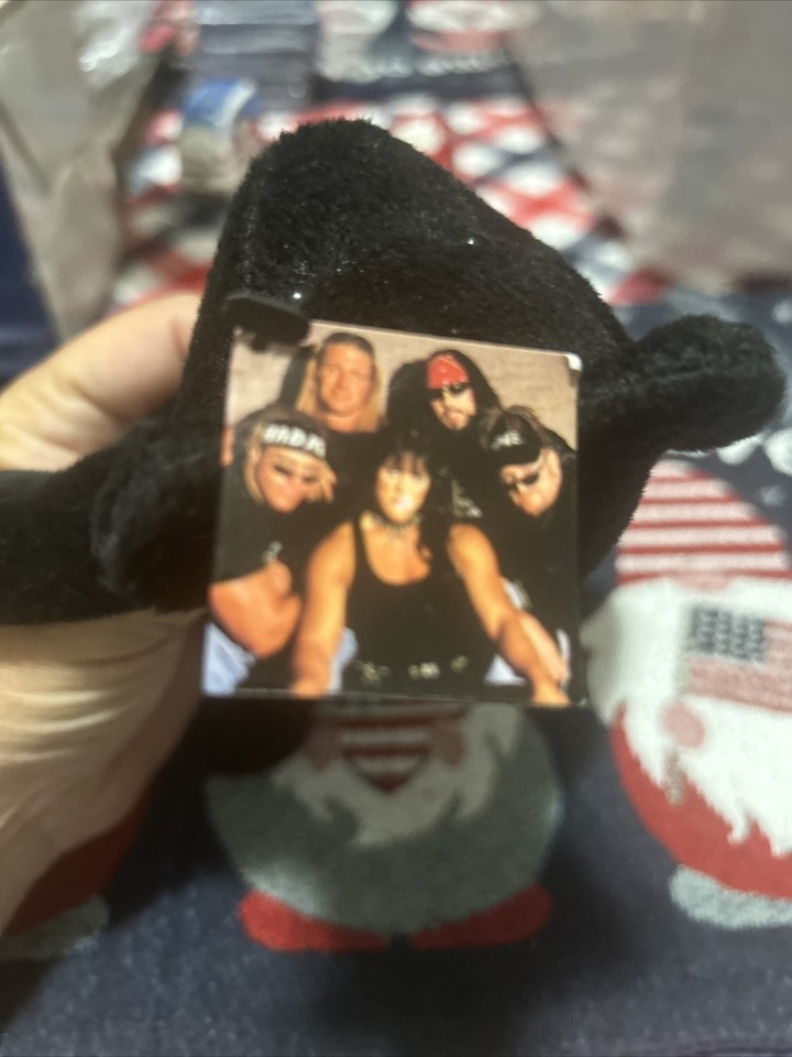 WWF WWE Attitude Bears Degeneration X 1999 With Tag DX Beanie Baby | eBay
