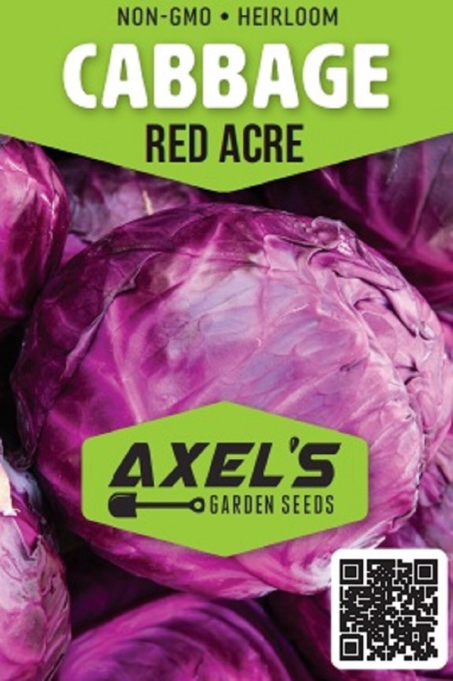 Red Acre Cabbage Seeds | Non-GMO | Heirloom | Fresh Garden Seeds | eBay