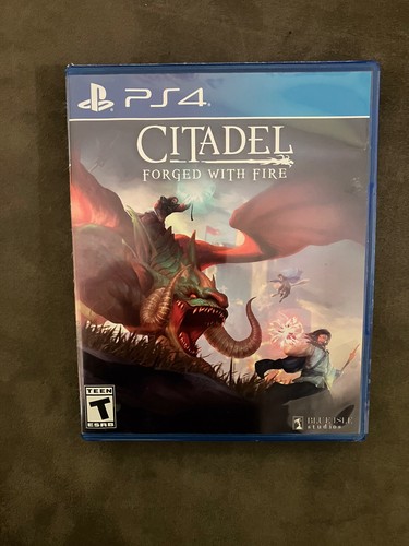 Citadel: Forged With Fire - PS4 - PlayStation 4 884095196028 | eBay