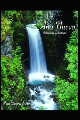 Ao Nuevo by Paula Martinez de Ita (Spanish) Paperback Book | eBay Australia