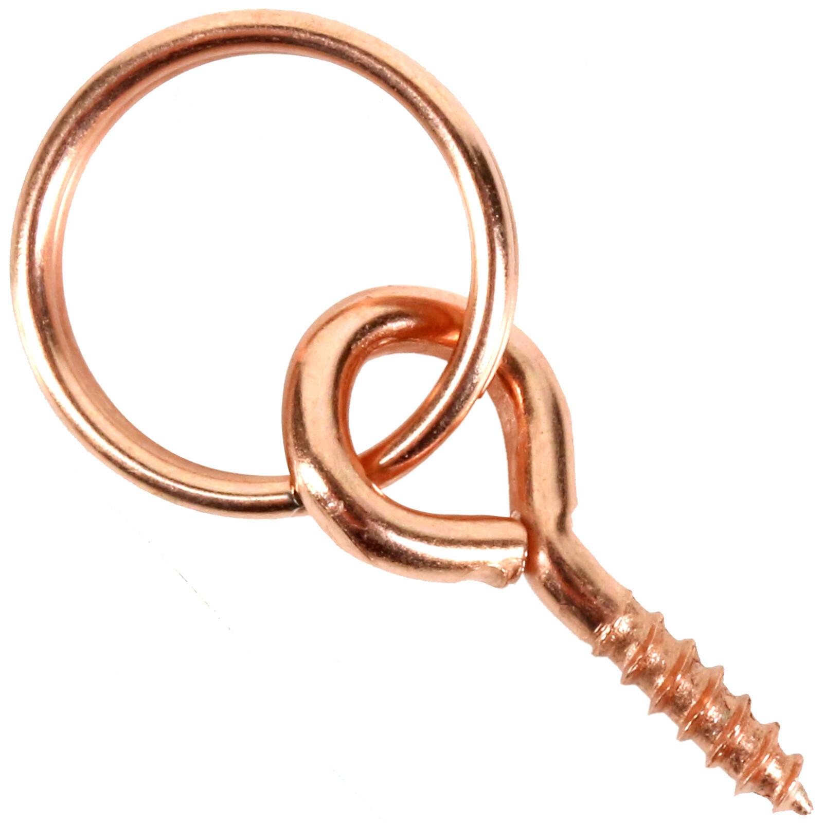 PICTURE HANGING SCREWS X25 Split Ring Screw Eye Copper Gold Large Small ...