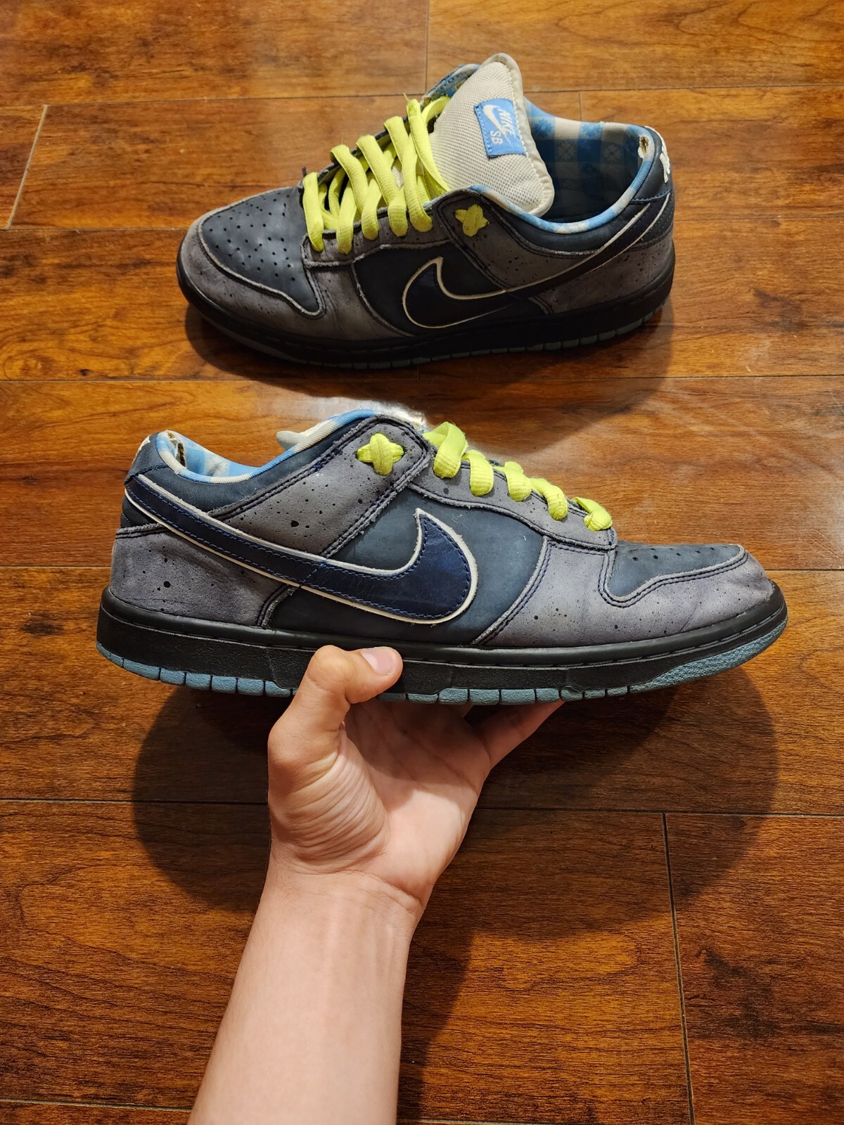 Size 11 - CLEAN Nike SB Dunk Low Premium Blue Lobster… - Gem