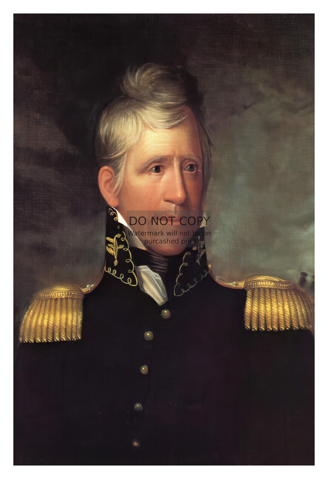 ANDREW JACKSON 7TH PRESIDENT OF THE UNITED STATES PORTRAIT 4X6 PHOTO ...