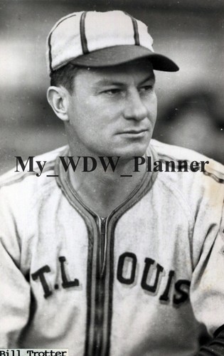 Vintage Photo 83 - St. Louis Browns - Bill Trotter | eBay