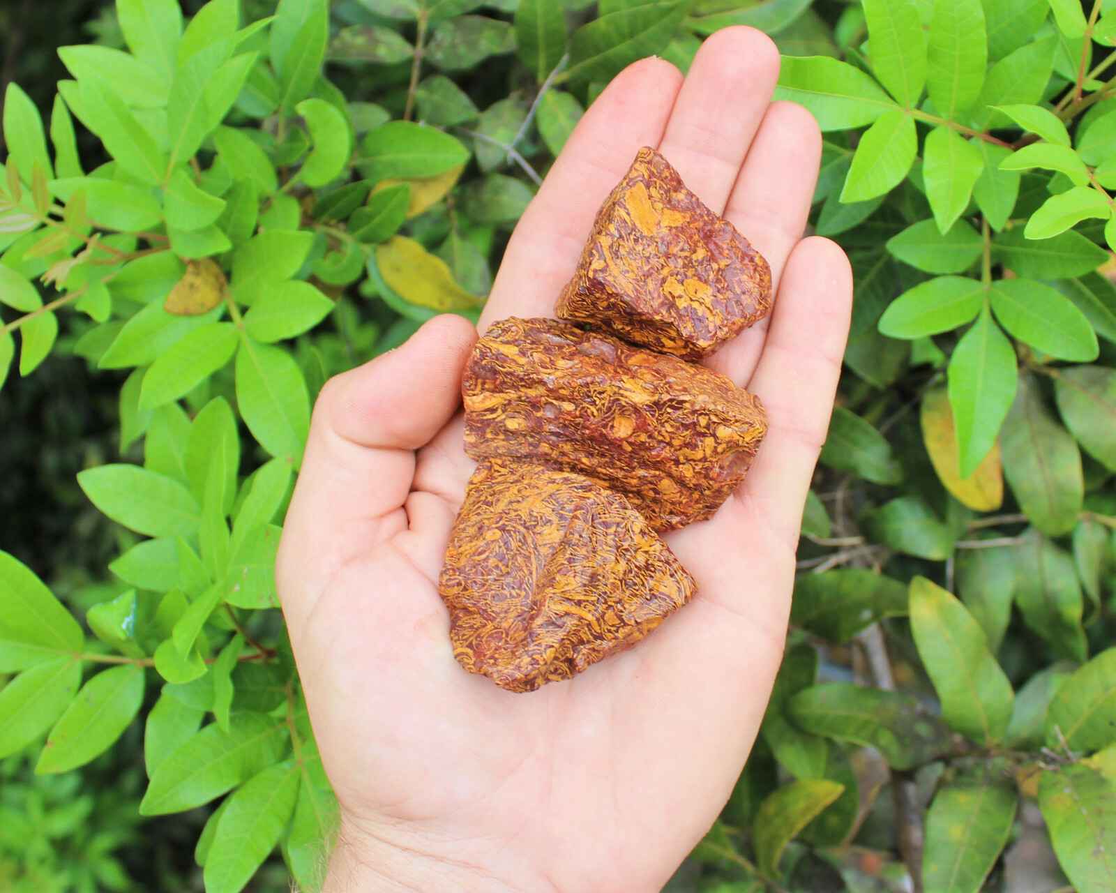 Calligraphy Jasper Rough Natural Stones (Miriam Jasper, Sanskrit Jasper ...