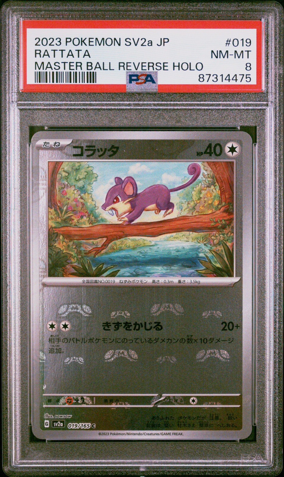 Pokemon 151 Rattata sv2a Japanese Master Ball Reverse Holo Rare #19 PSA ...