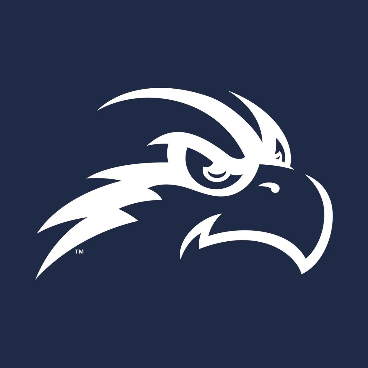 North Florida Basketball Logo