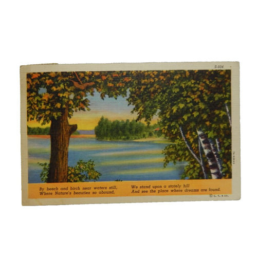 FOREST SCENE POEM | eBay