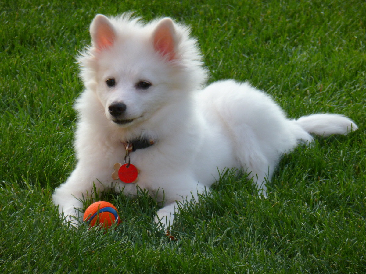 Eskies Treasure Chest | eBay Stores