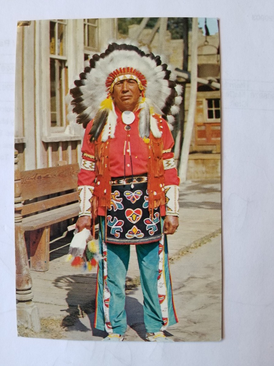 Chief White Eagle Native American White Eagle Stock Illustration