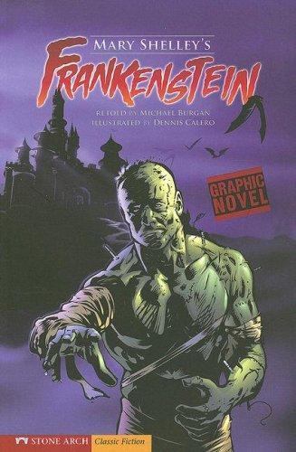 Frankenstein : A Graphic Novel by Mary Shelley (2007, Perfect) for sale ...