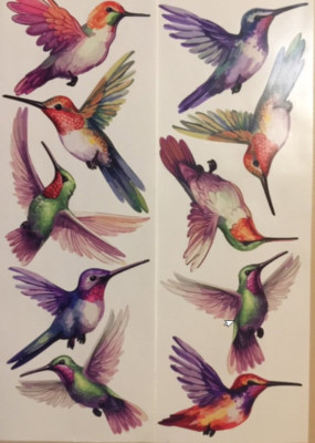 HUMMINGBIRDS wall stickers 10 colorful decals Peel and Stick Removable ...