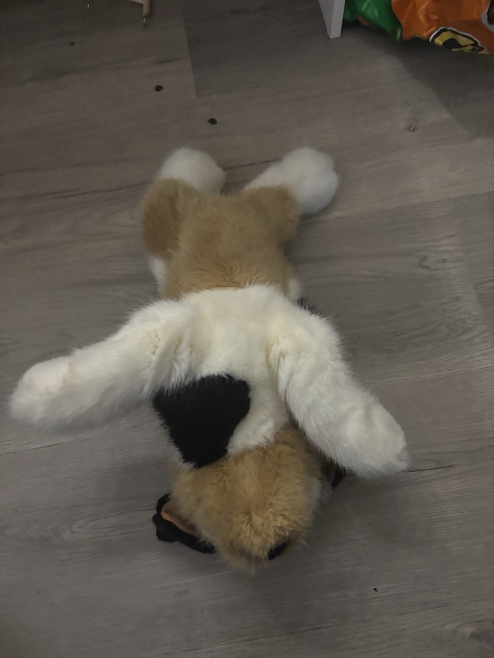 RETIRED douglas moses terrier mix | eBay