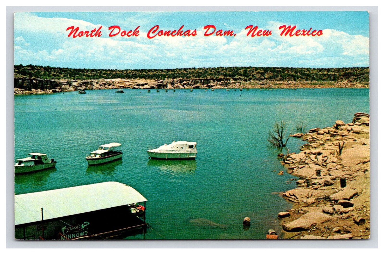 Postcard: NM North Dock, Conchas Dam, New Mexico - Unposted | eBay