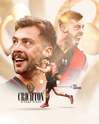 ESSENDON BOMBERS TEAM PLAYER POSTER, FREE POST, BARGAIN,FOOTBALL | eBay ...