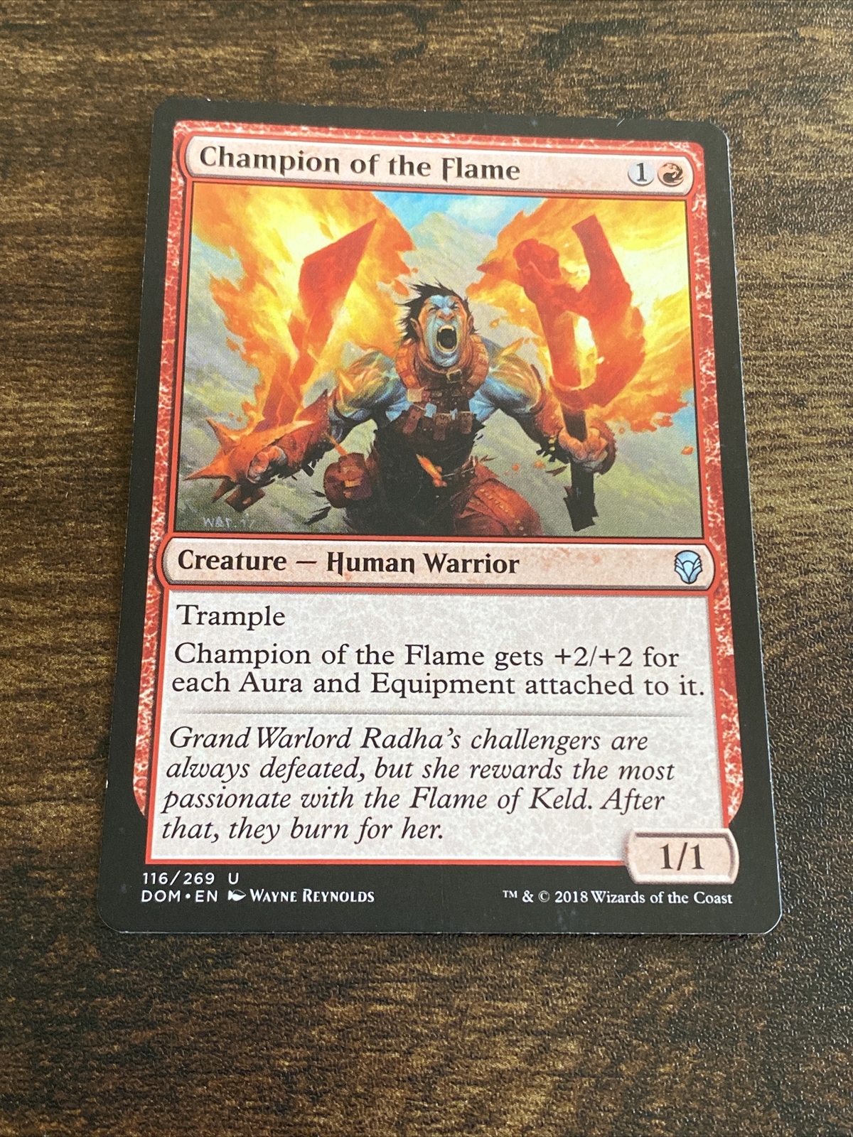 MTG Champion of the Flame Dominaria 116/269 Uncommon C8816* | eBay