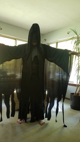Adults Harry Potter Dementor Costume Robe Large 44 for sale online | eBay