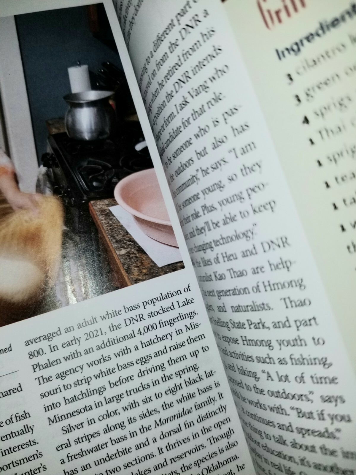 Minnesota Conservation Volunteer Magazine. Sept - Oct 2021 | eBay