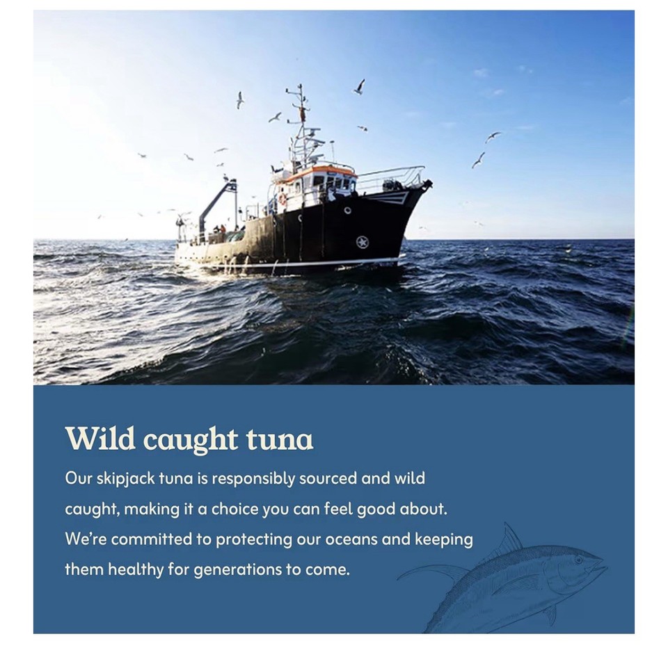 3 PK - Van Camp’s Solid Skip Jack Tuna In Vegetable Oil 4-3 oz / 12 ...