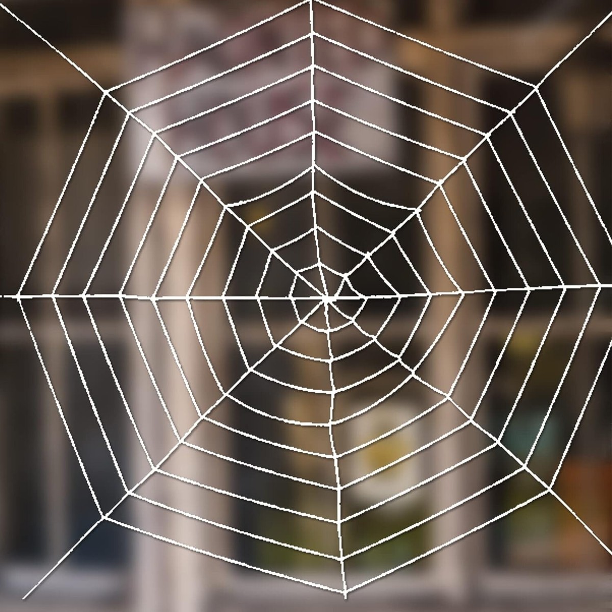 Cobwebs In House