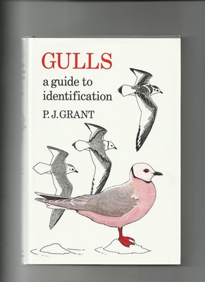 Gulls: A Guide to Identification (USED) 9780856610448 | eBay UK