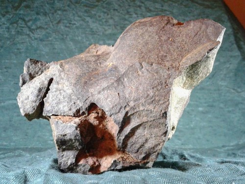PREHISTORIC STONE MULTI-TOOL, BIRDSTONE, EFFIGY, PORTABLE ROCK ART ...