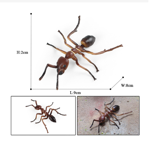 9cm Mini Ant Insect PVC Toy Animal Figure Doll Kids Gift | eBay