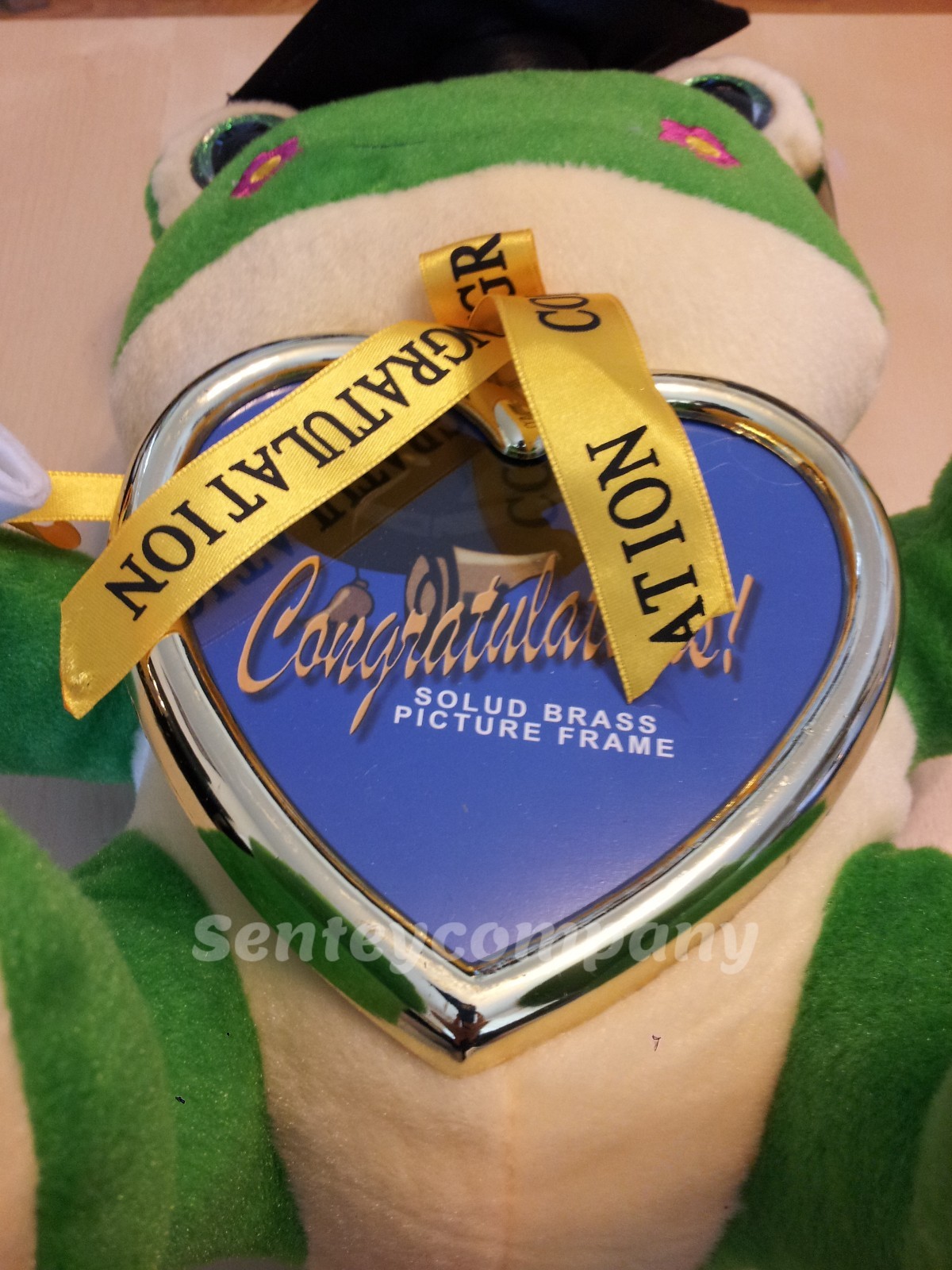 13" tall Graduation Gift Cute Frog w/ Cap Outfit with heart picture ...