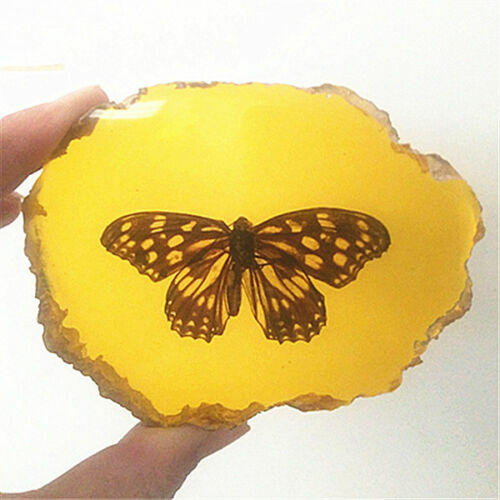 Butterfly Amber Fossils
