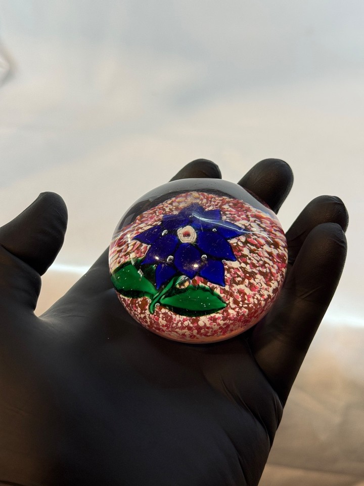 Antique Boston & Sandwich Glass Company Blue Poinsettia Glass ...