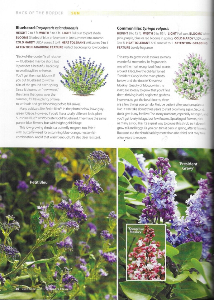 Great Gardens Ultimate Flowers Magazine Plant Combos Border Favorites ...