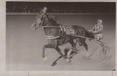 Dapper Dillon - Flamboro Downs - Kerr 1976 - Original Harness Racing ...
