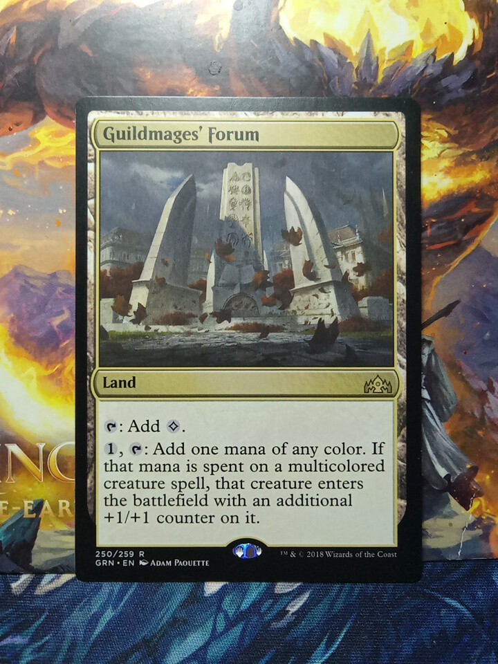 1x Guildmages' Forum | Guilds of Ravnica | MTG Magic Cards | eBay