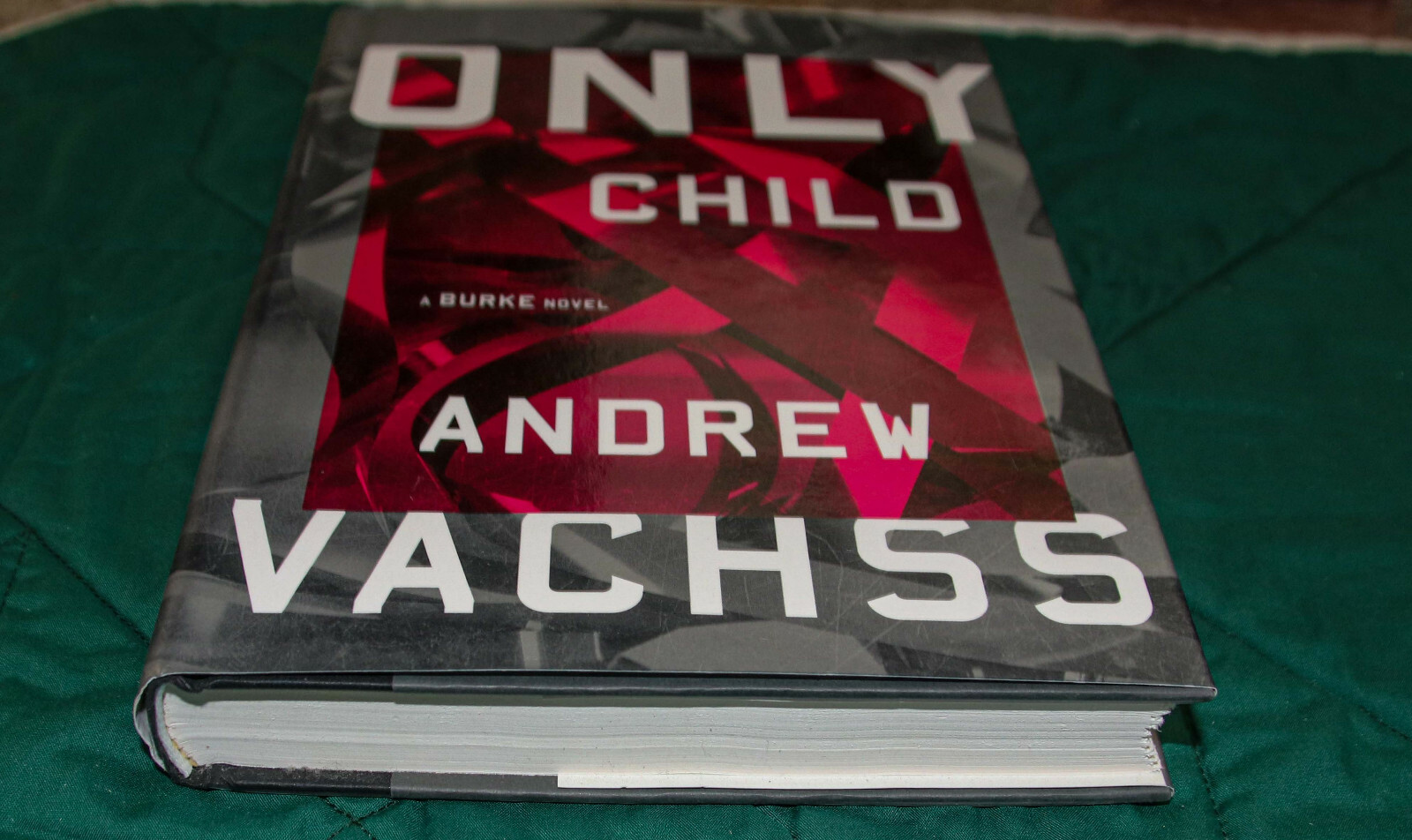 Only Child by Andrew H. Vachss (Hardcover, 2002) Unread Copy ...