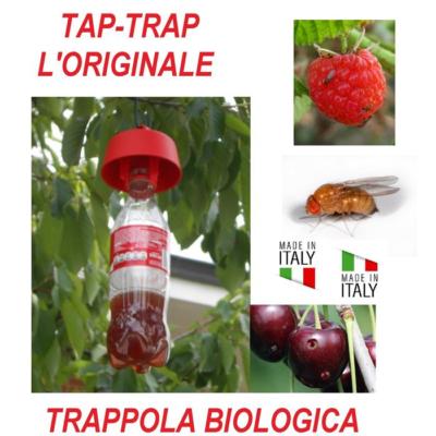 5 Pezzi Trappola Bio Tappo Tap Trap Rossa Drosophila Suzuchi Originale ...
