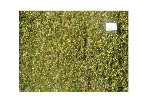 MININATUR Feuillage de saule pleureur début d'automne HO 1/87 | eBay