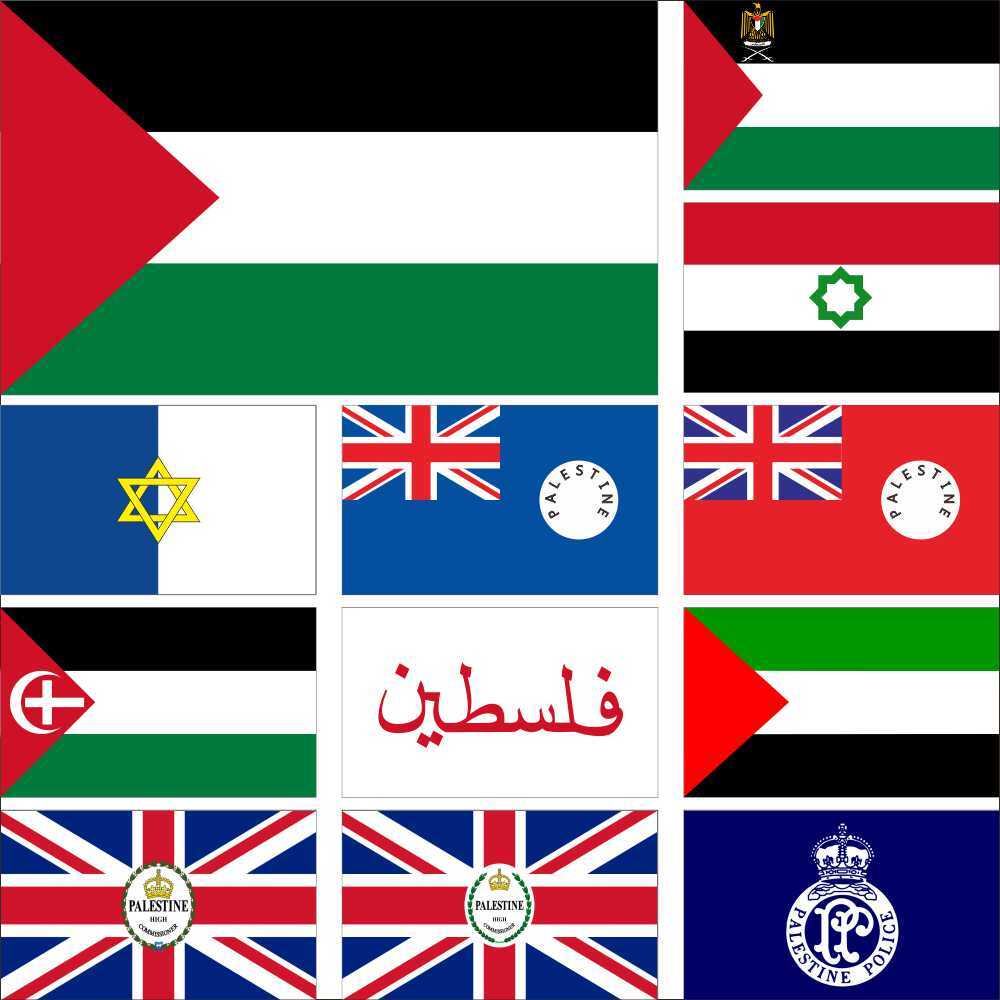 Palestinian Flag